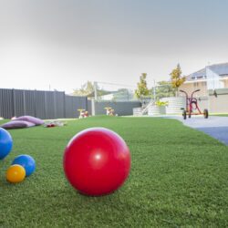 Papilio Early Learning | Childcare & Kindergarten in Essendon