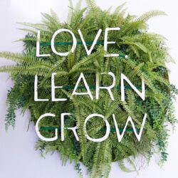 Essendon Kindergarten - Childcare | Papilio Early Learning